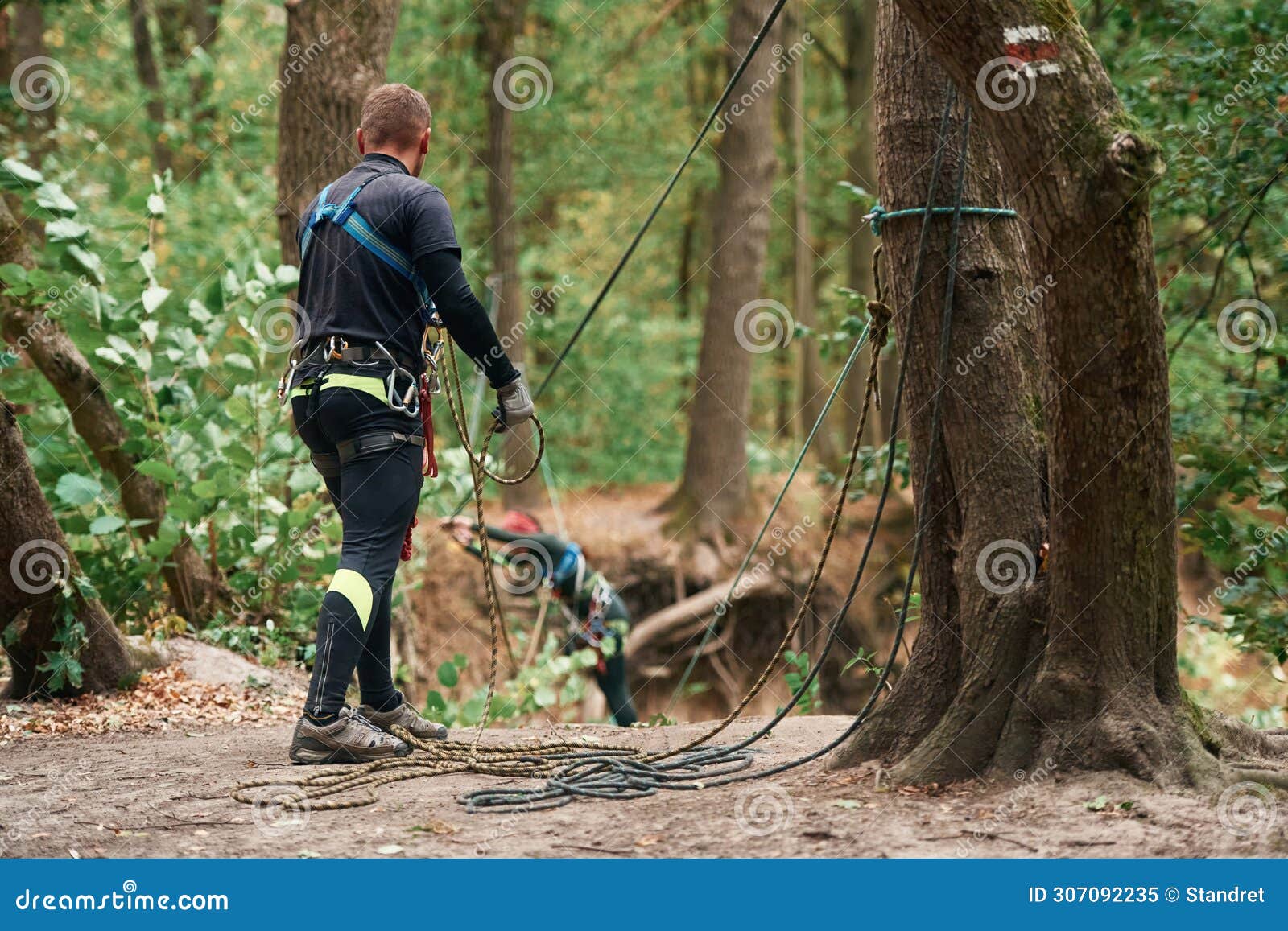Process of Preparing. Man is Doing Climbing in the Forest by Use of ...