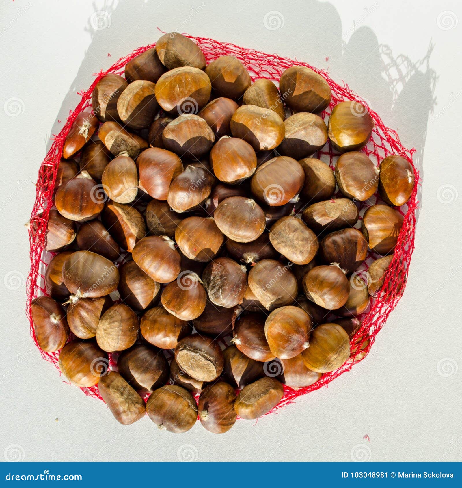 Chestnuts stock image. Image of broiled, christmas, fresh - 103048981