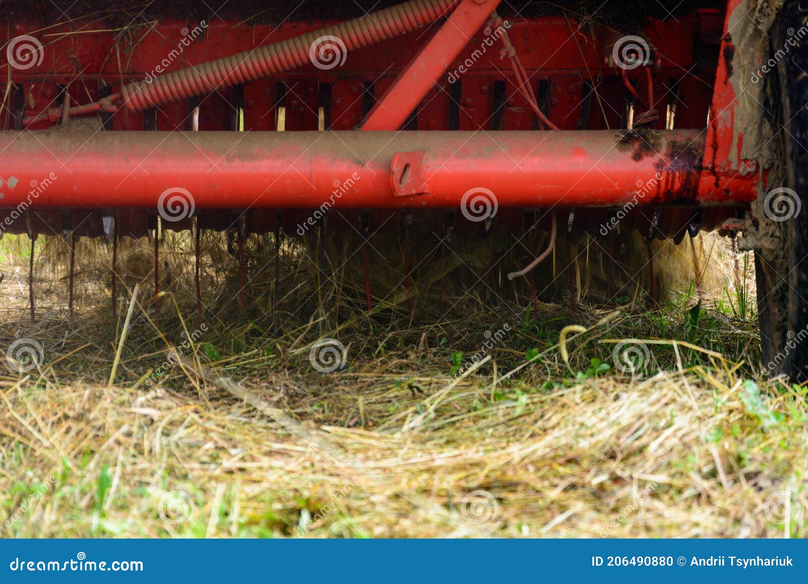 The Process of Pressing Hay into Bales, the Work of the Press Machine ...