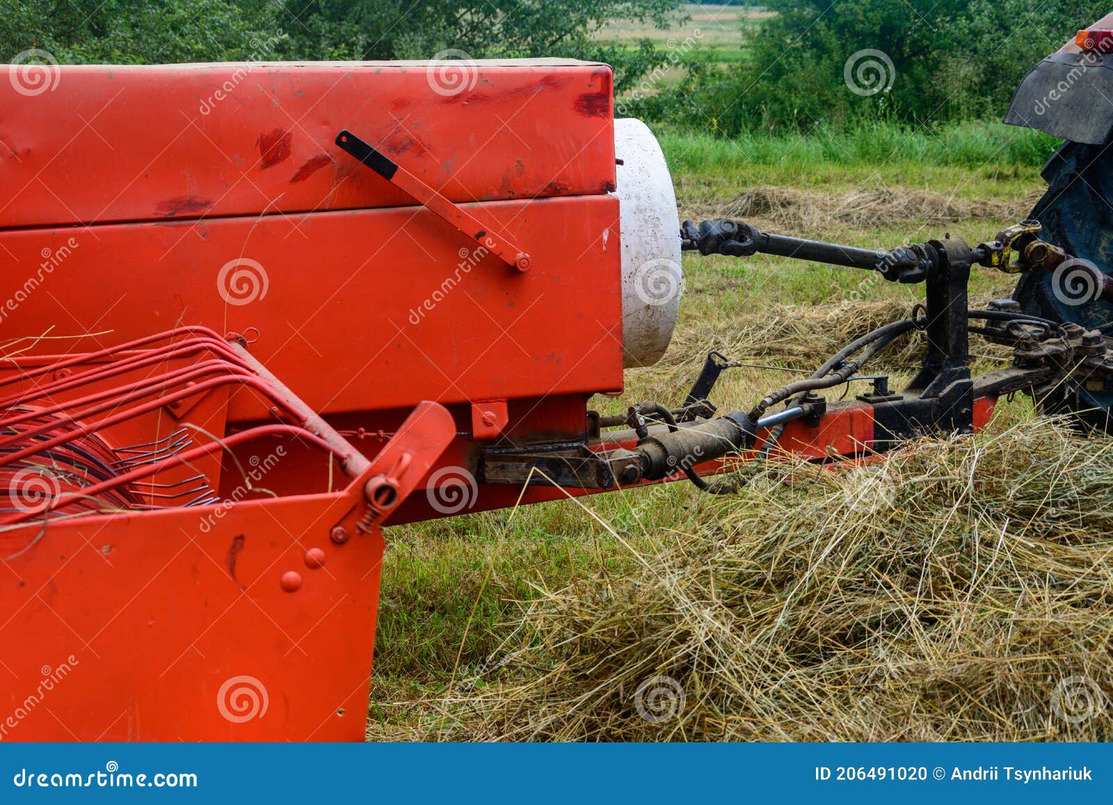 The Process of Pressing Hay into Bales, the Work of the Press Machine ...