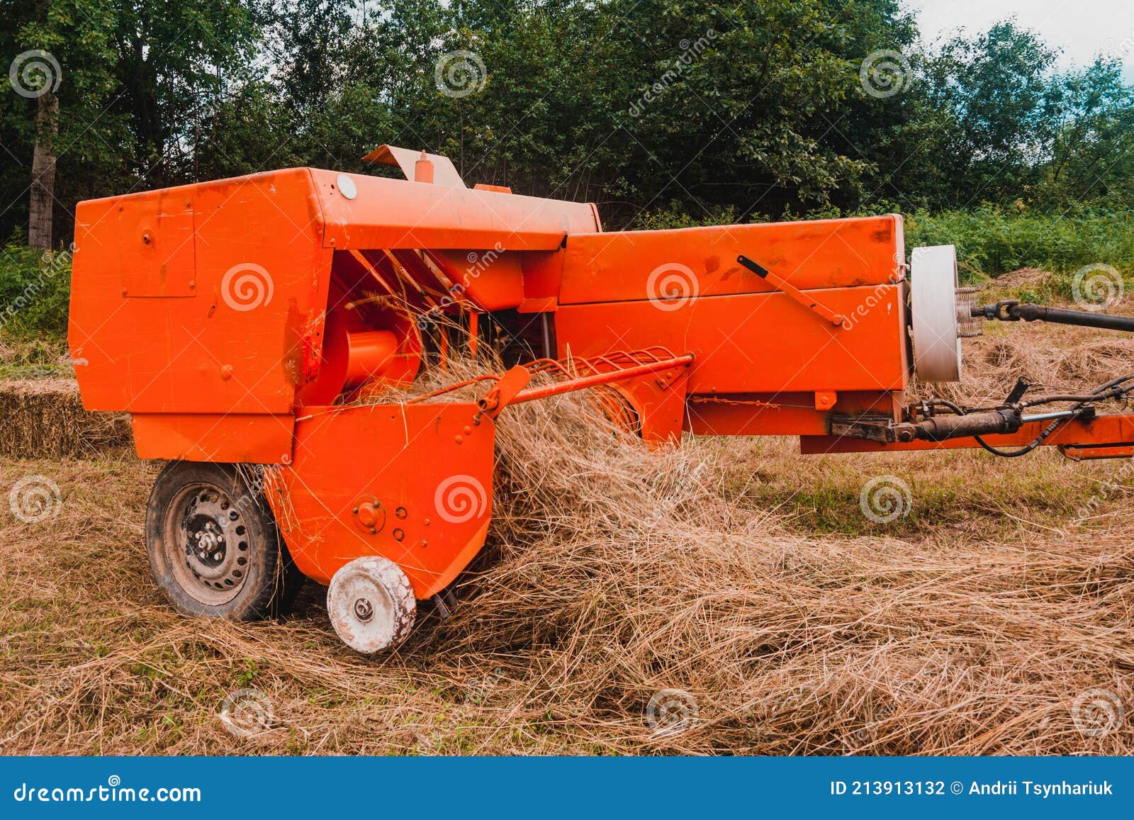 The Process Of Pressing Hay Into Bales, The Work Of The Press Machine ...