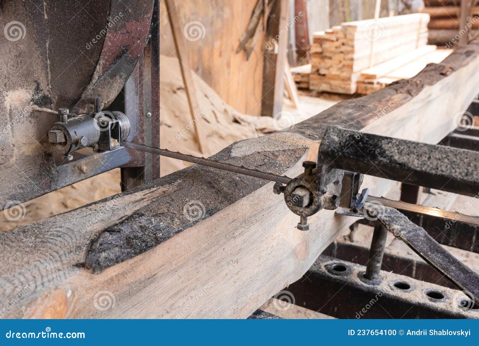 The Process of Processing Pine Wood on the Equipment of a Sawmill ...