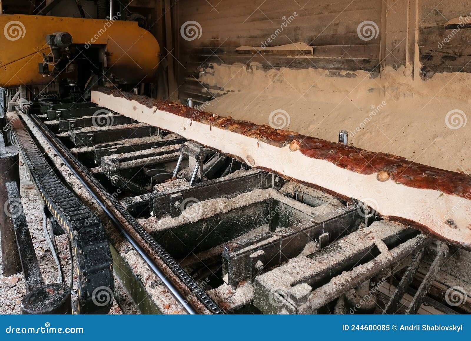 The Process of Processing Pine Wood on Sawmill Equipment Stock Image ...