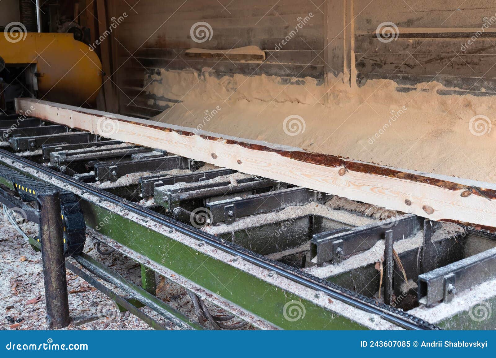 The Process of Processing Pine Wood at the Sawmill. Timber Industry ...