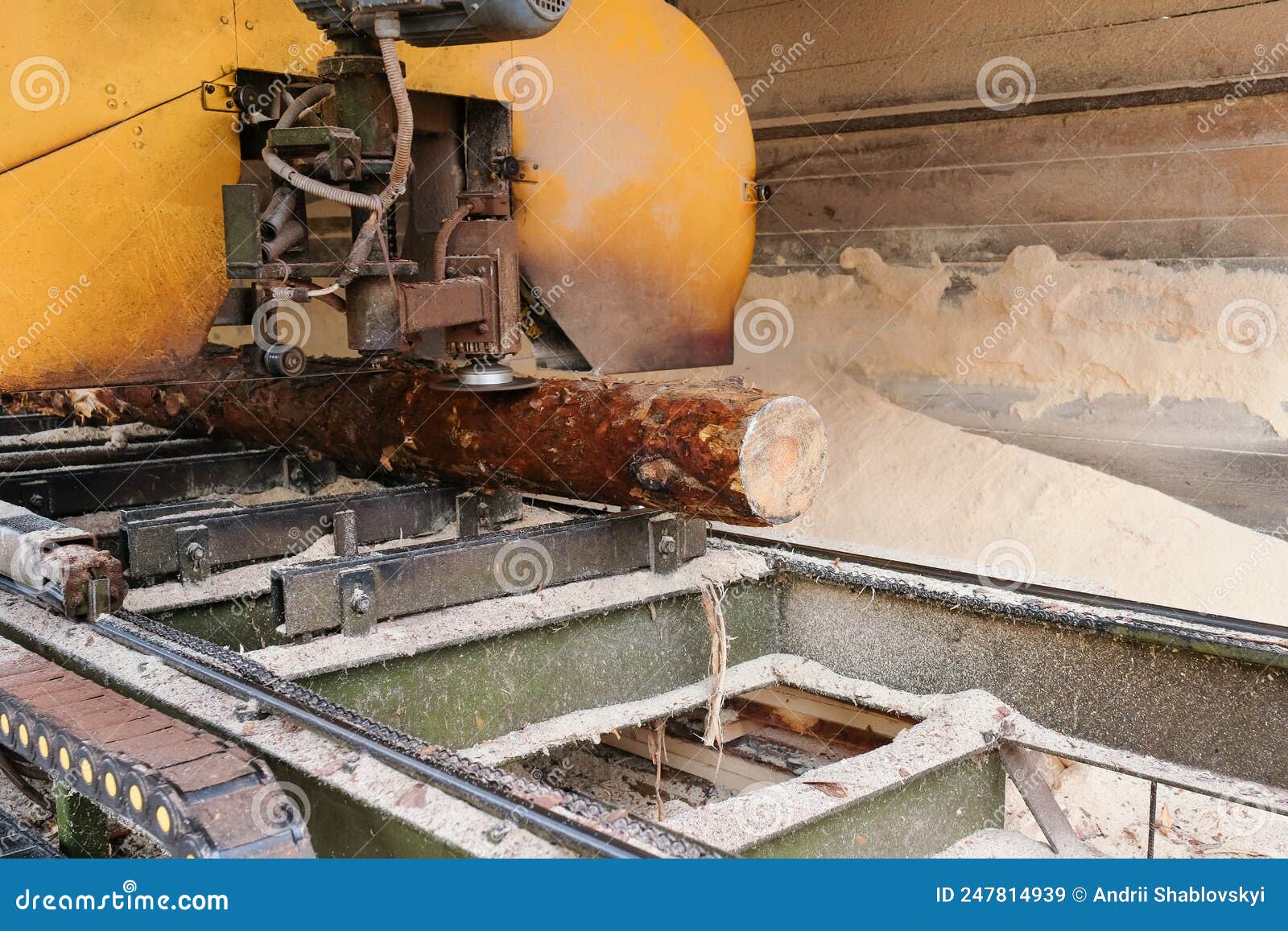 The Process of Processing Wood at the Sawmill. Timber Industry Stock ...