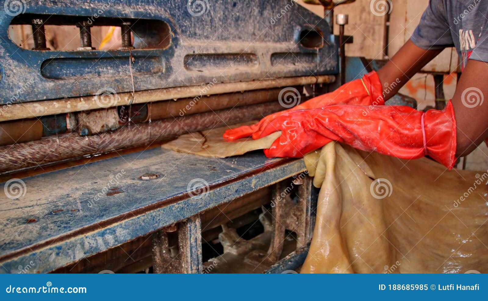 The Process of Producing Cowhide Leather for the Clothing Industry ...
