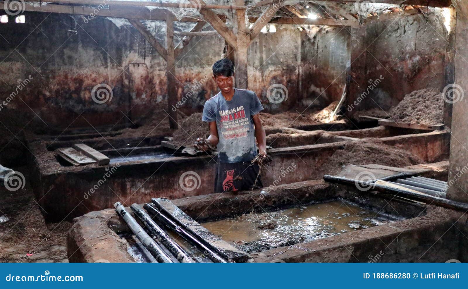 The Process of Producing Cowhide Leather for the Clothing Industry ...