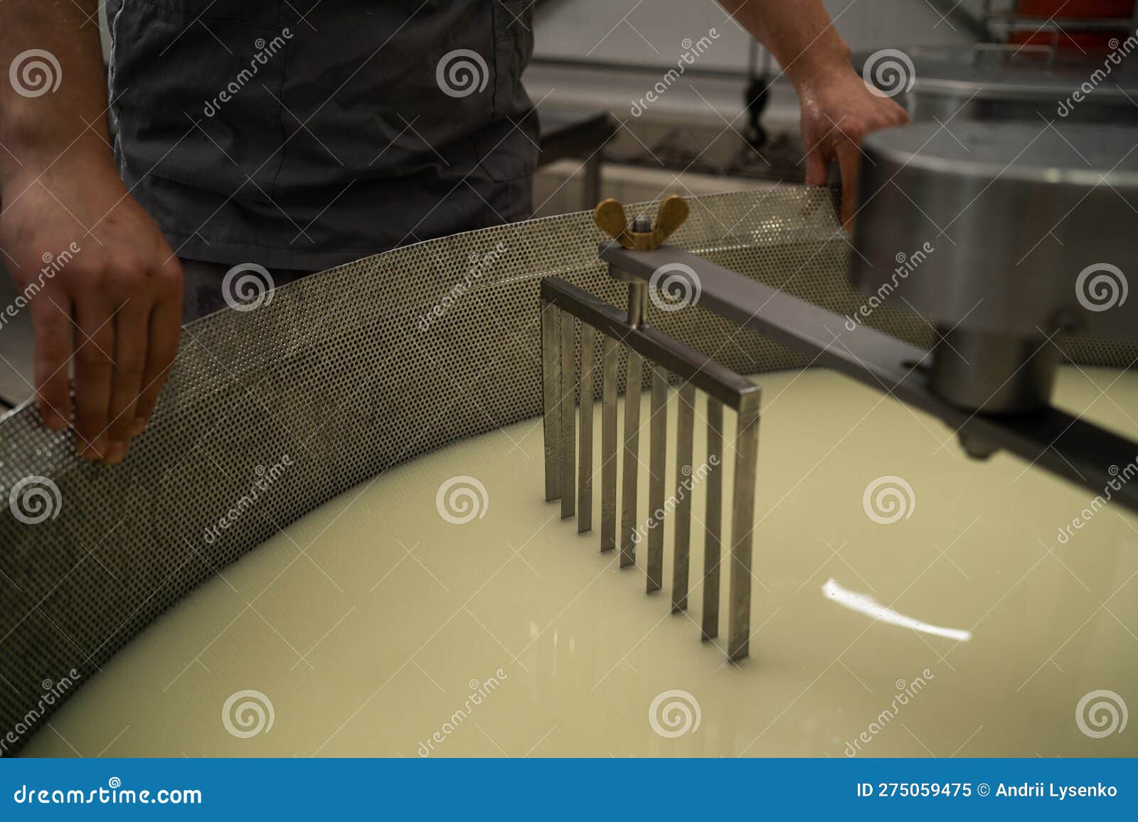 Process of Producing Different Varieties of Cheese in Industry. Cheese ...