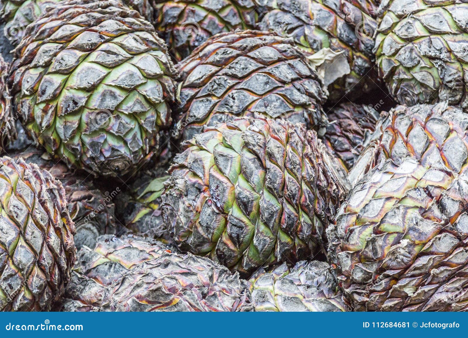 Agave tequila production stock image. Image of handcrafted - 112684681