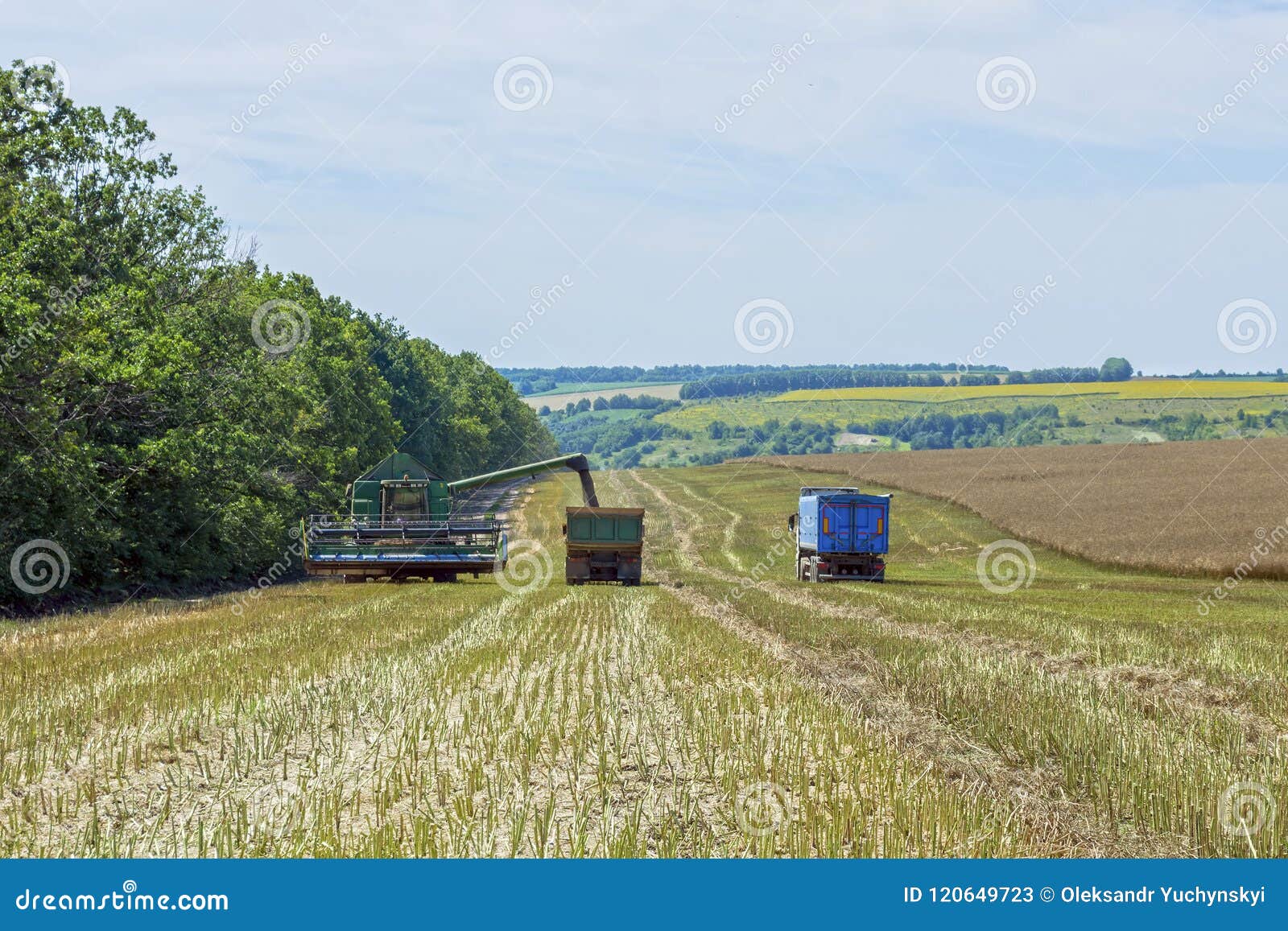 Process of Harvesting by Harvesters. Plants in Reapers Editorial Stock ...