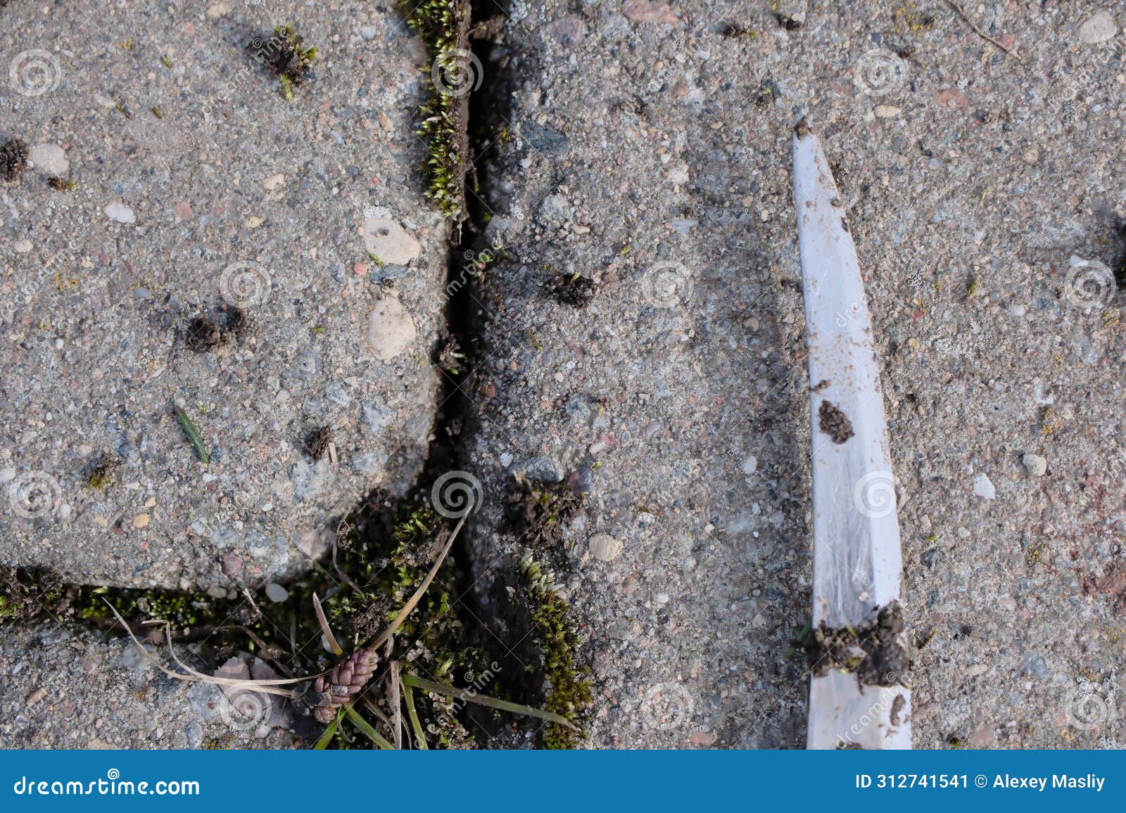 The Process of Removing Moss and Grass between Paving Slabs Stock Image ...