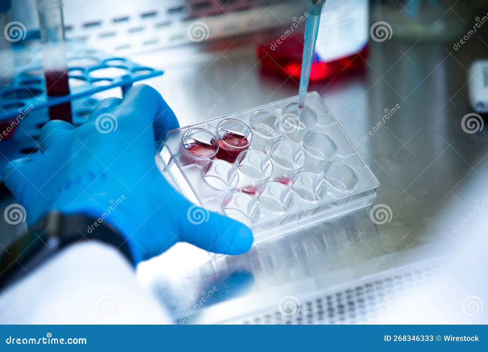 Process of Research and Chemical Experiments with Vials and Ampules in ...