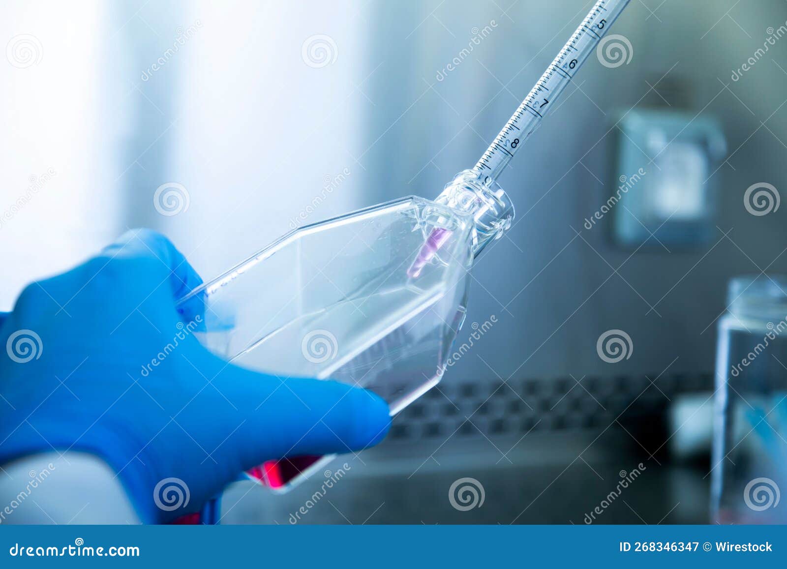 Process of Research and Chemical Experiments with Vials and Ampules in ...
