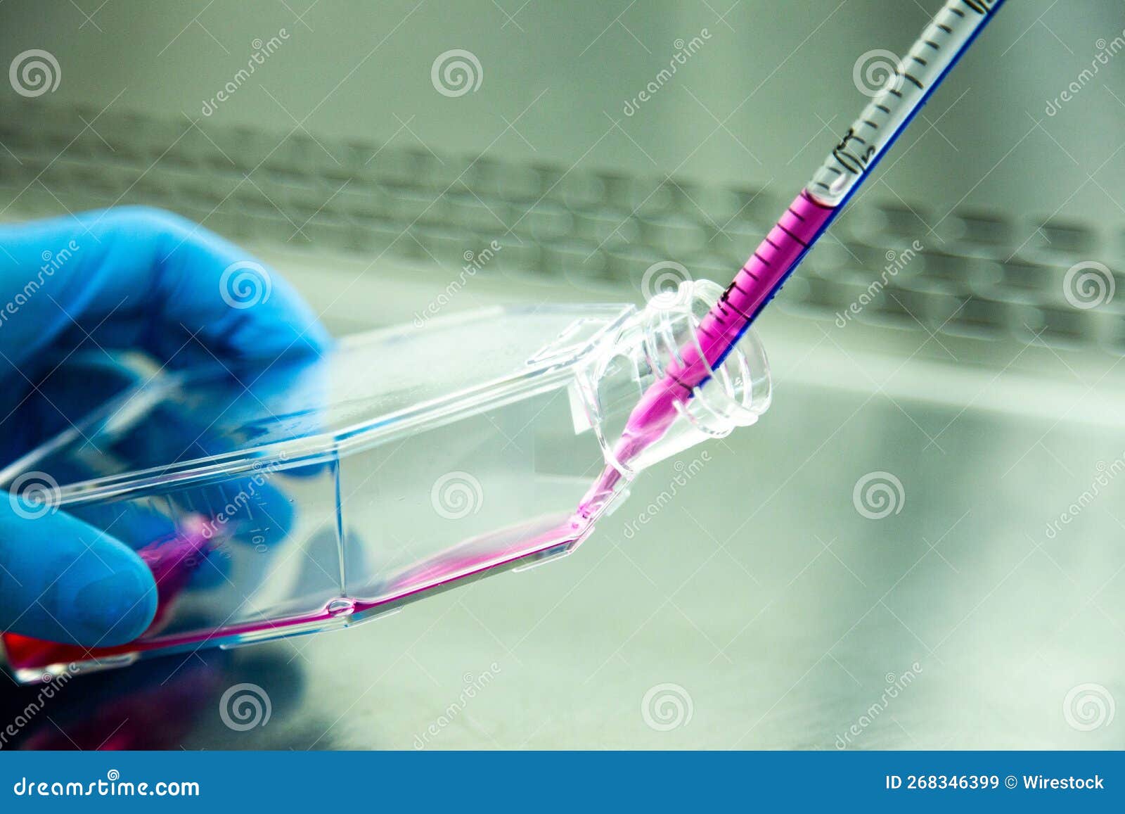 Process of Research and Chemical Experiments with Vials and Ampules in ...