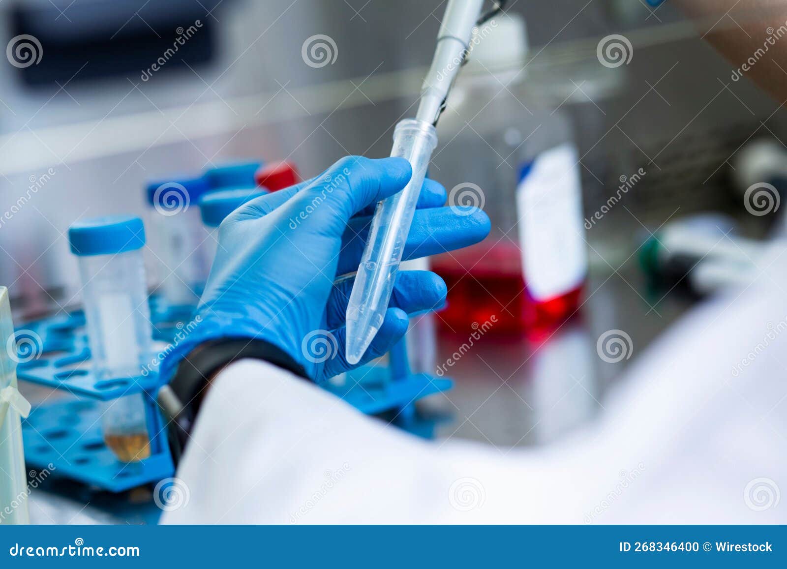 Process of Research and Chemical Experiments with Vials and Ampules in ...