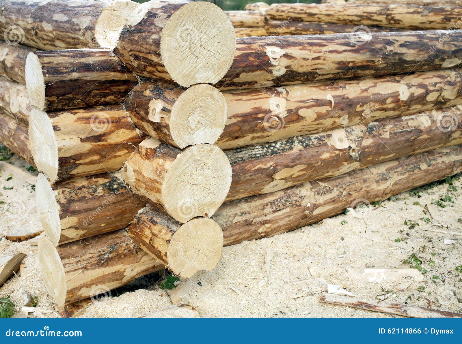 Process of Rustic House Construction from Heavy Logs Stock Photo ...