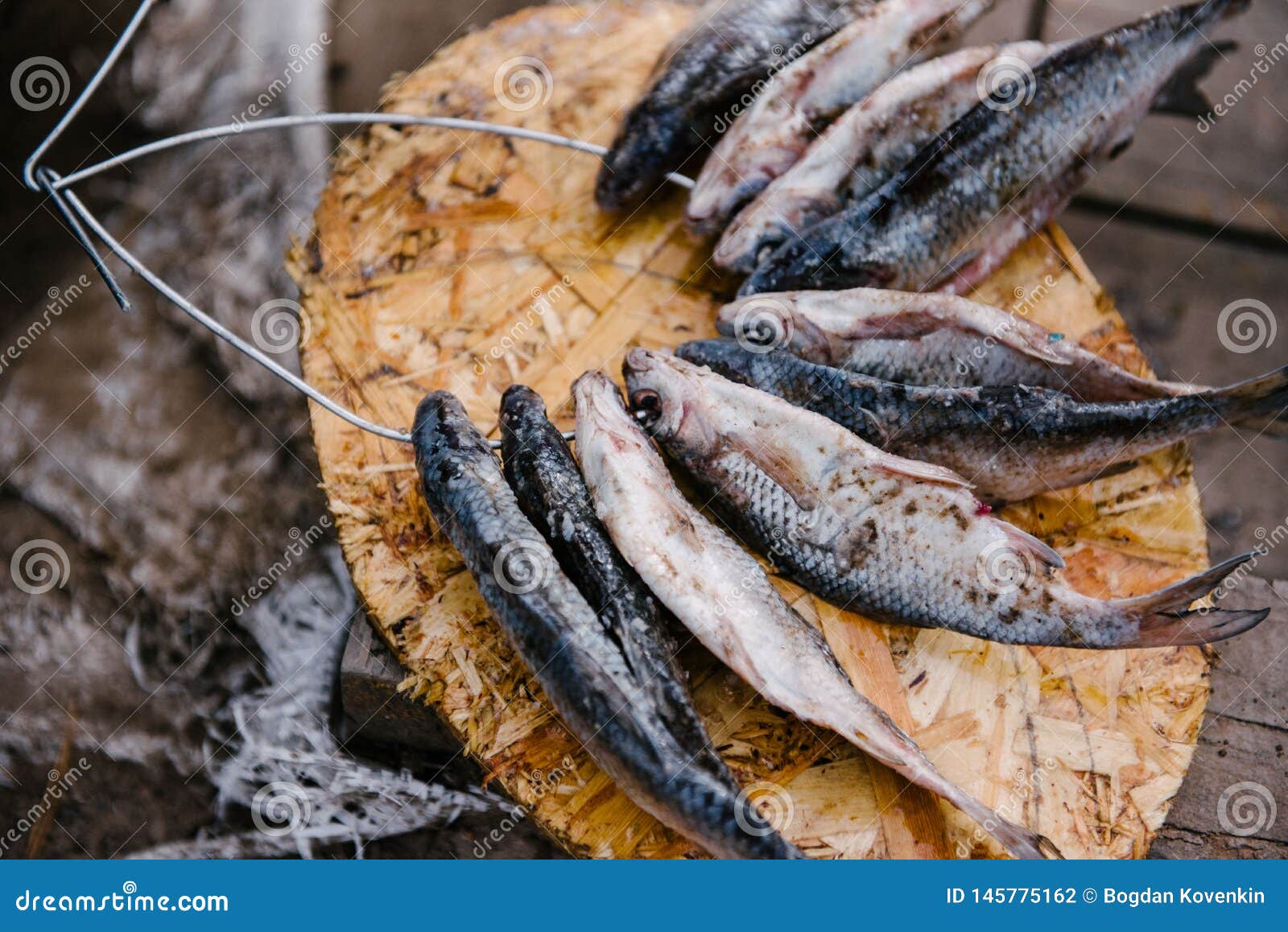 The Process of Salting Caught Fish. Dried Roach Stock Photo - Image of ...