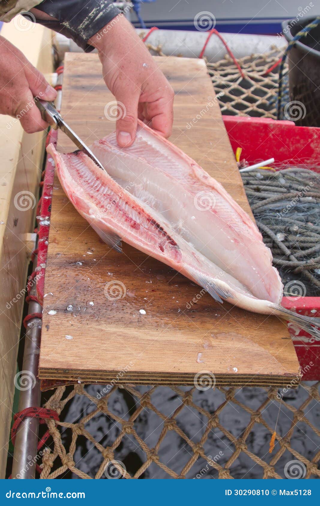 Salting stock photo. Image of delicacy, cure, detail - 30290810