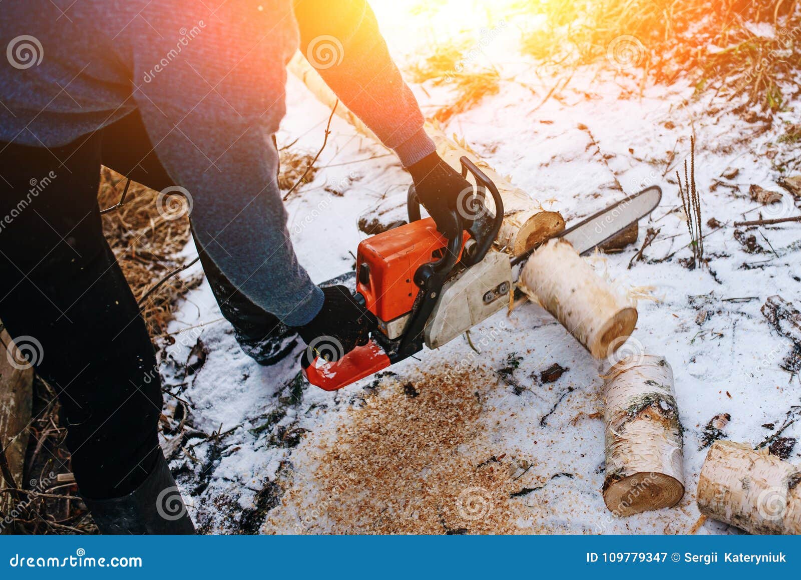 Process of Sawing Log by Chainsaw in the Winter Stock Image - Image of ...
