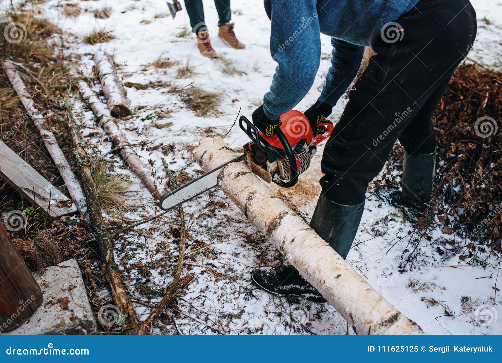 Process of Sawing Log by Chainsaw in the Winter Stock Image - Image of ...