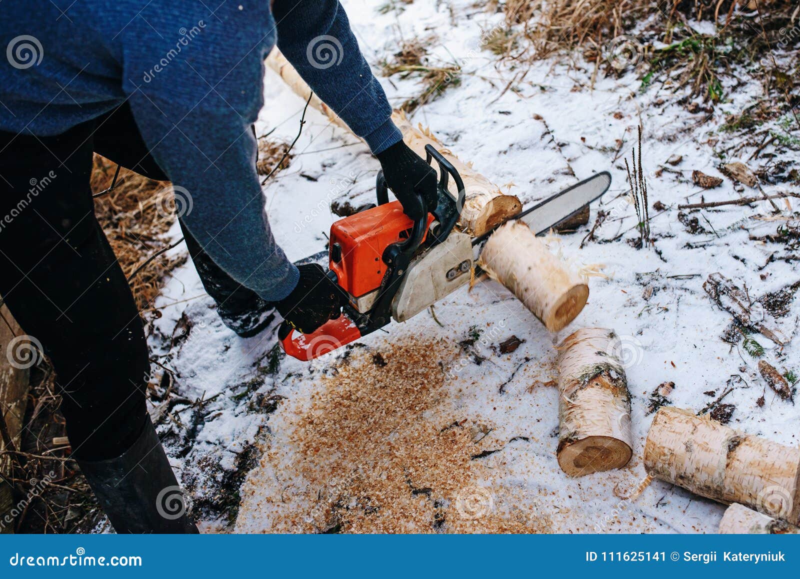 Process of Sawing Log by Chainsaw in the Winter Stock Image - Image of ...