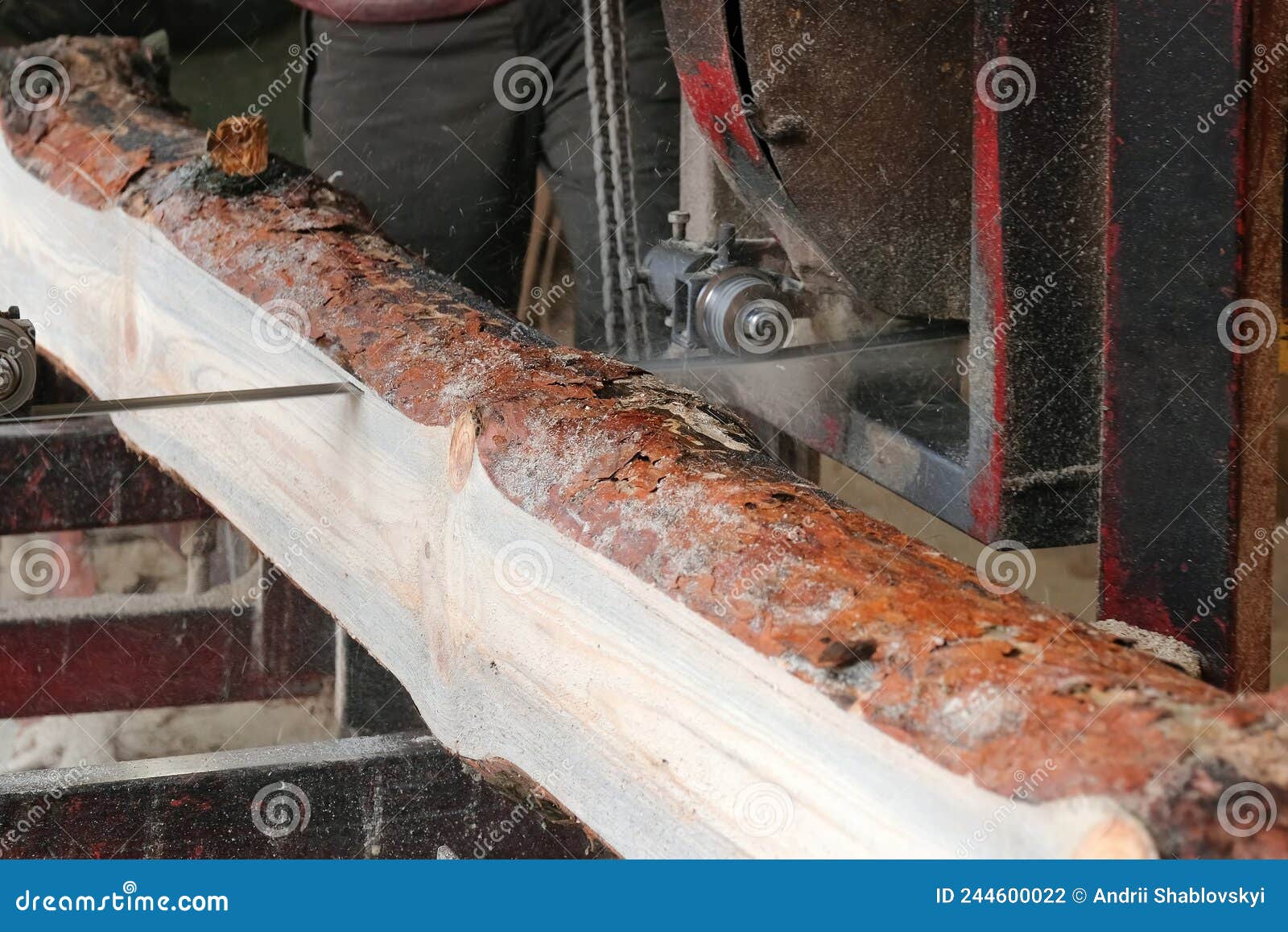 The Process of Sawing Wood at a Sawmill. Timber Industry Stock Photo ...