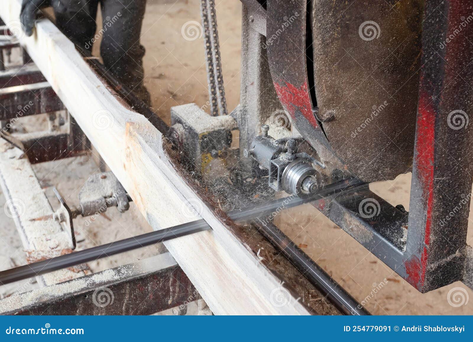 The Process of Sawing Wood at the Sawmill. Timber Industry Stock Image ...