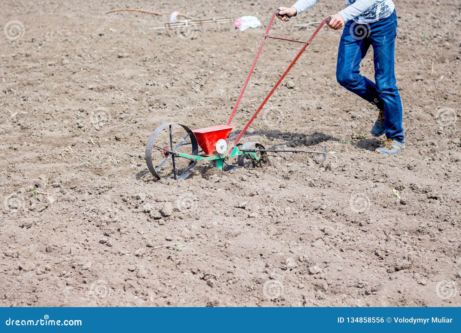 The Process of Seeding the Seeds in the Soil Using a Manual Mechanism ...