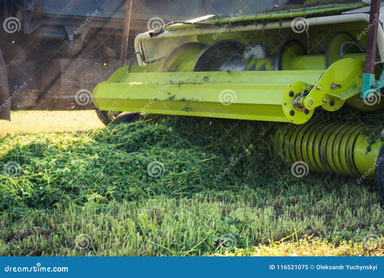 Process of Selection of Green Forage Harvester Stock Image - Image of ...