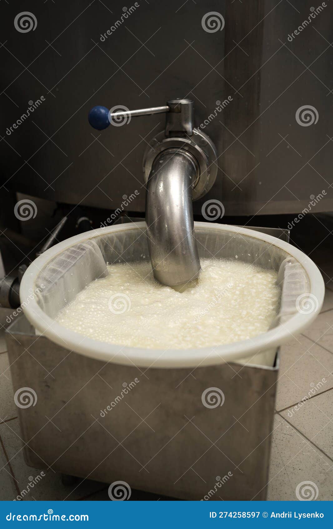 Process Separating Curd from the Whey in Dairy Factory. Cheese Making ...