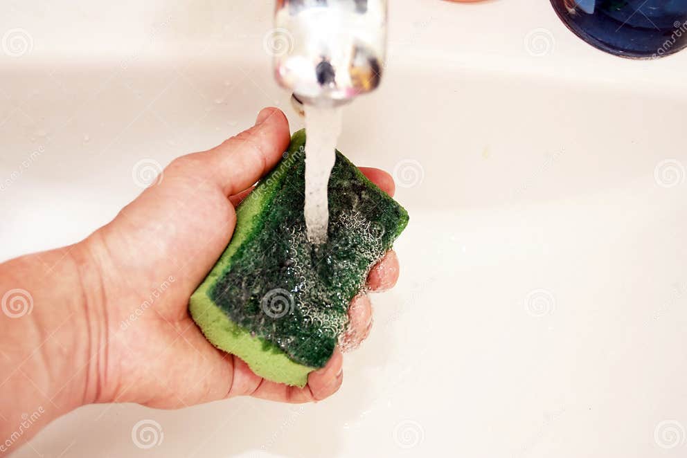 The Process of Soaking the Sponge Stock Image - Image of humidity ...
