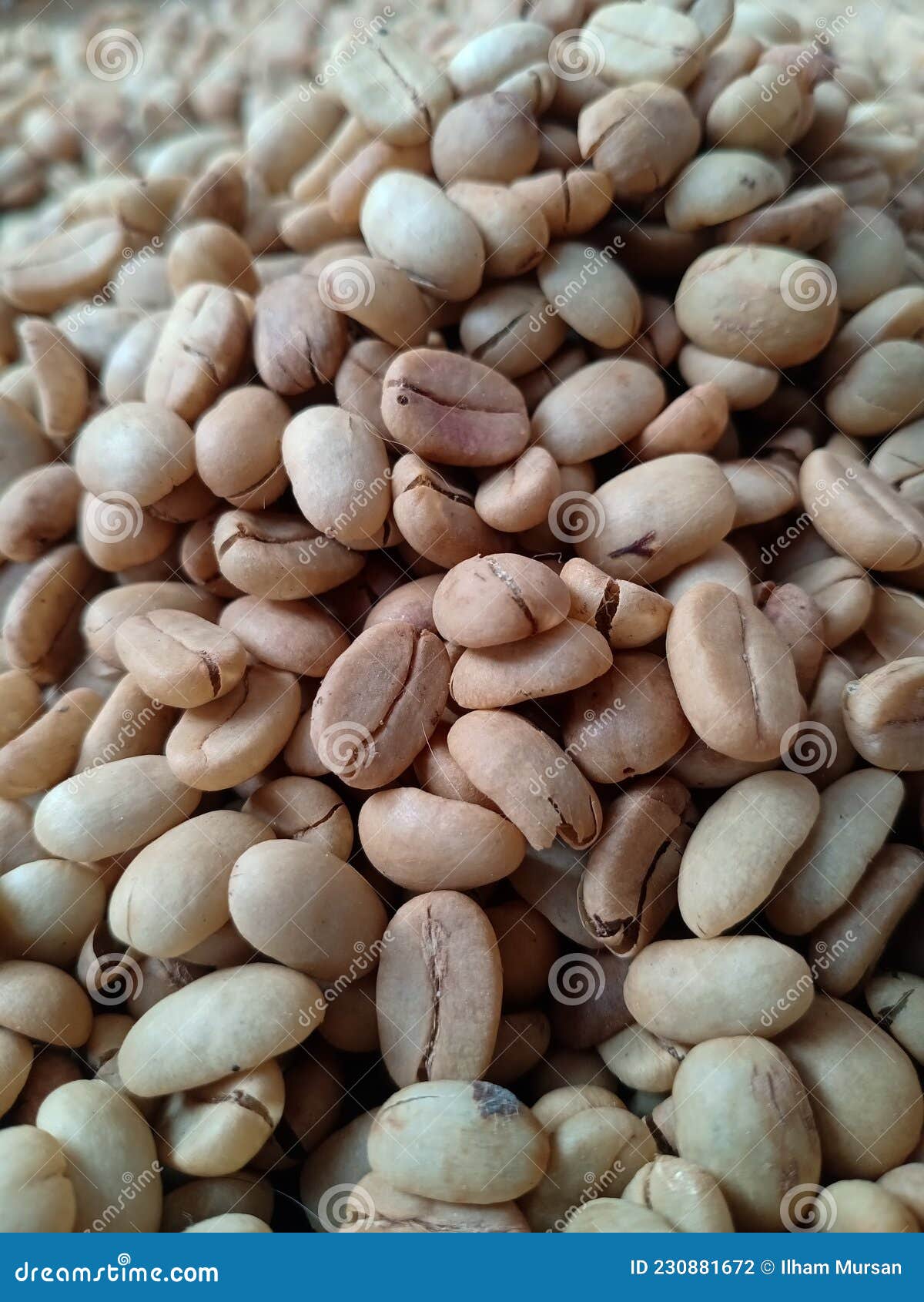Coffee Bean Sorting Process Stock Photo - Image of coffee, agriculture ...