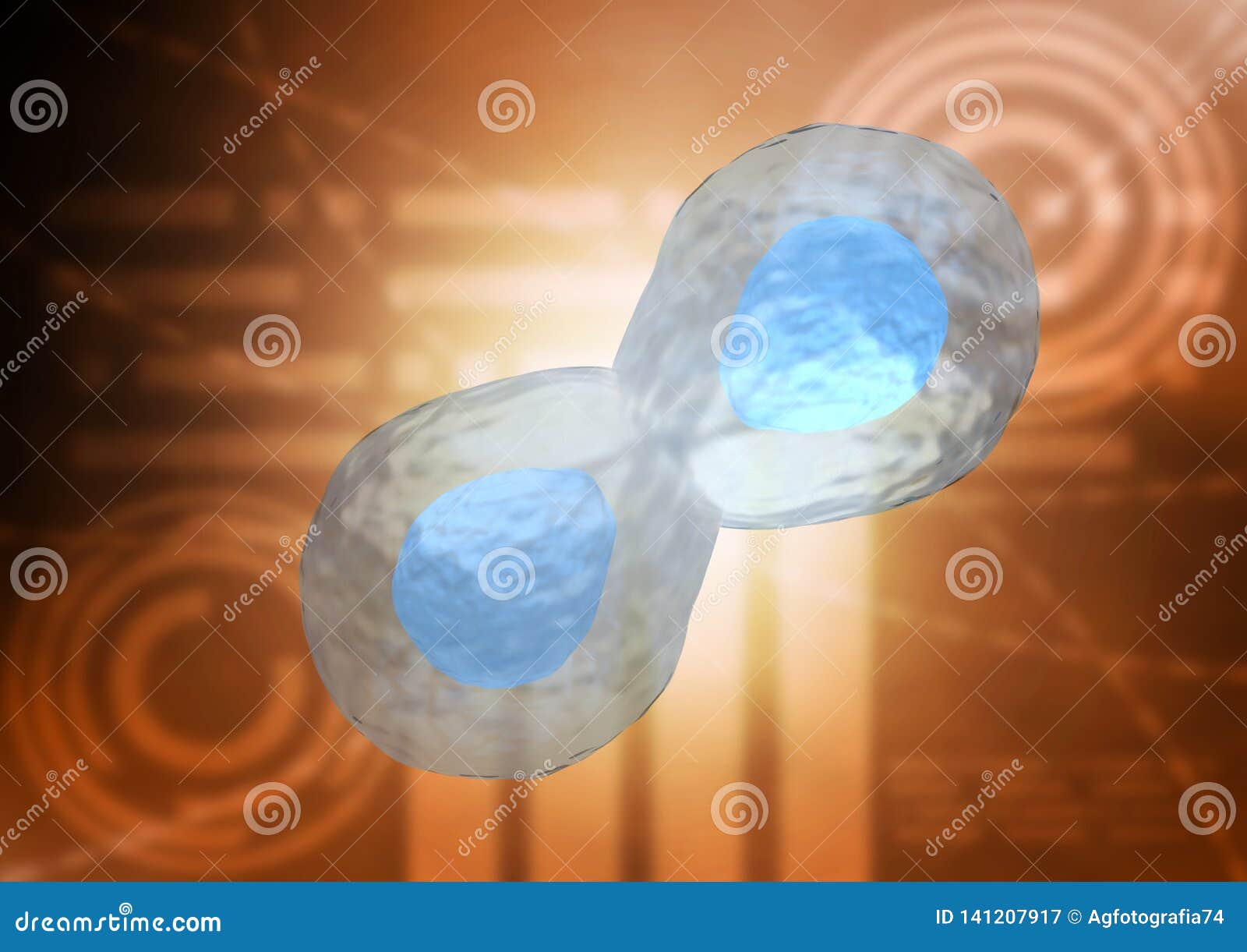 Process of Splitting the Stem Cells Onto the Graphic Background Stock ...