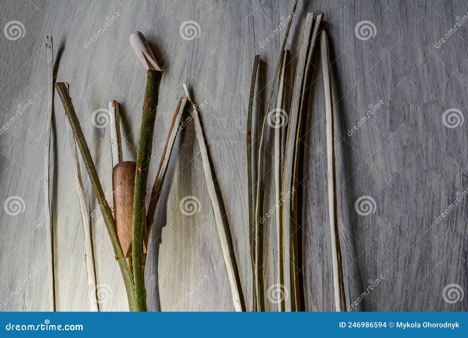 Process of Willow Sticks Preparation for Basket Weaving Stock Photo ...