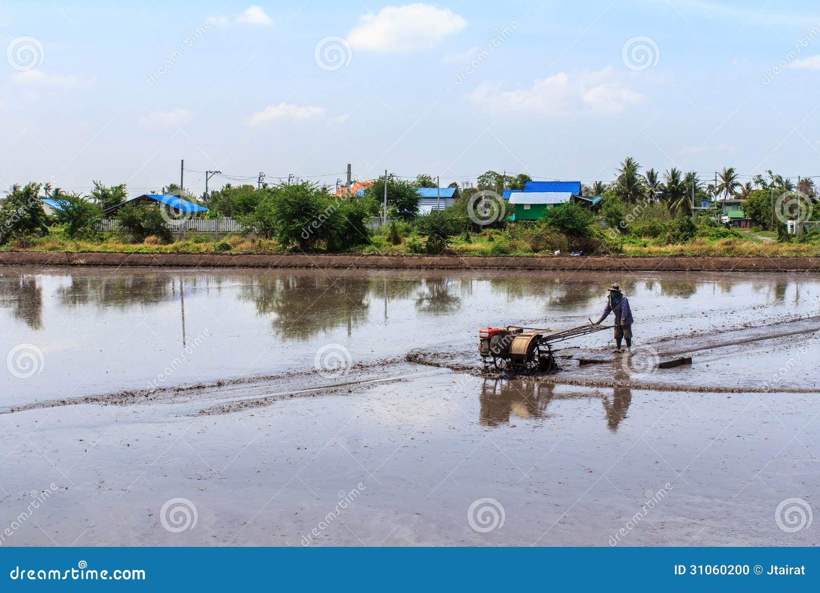 Process Of Thai Farmer Working With A Handheld Motor Plow In A Rice ...