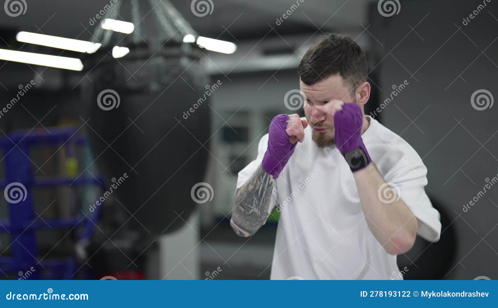 Process of Training a Male Boxer Stock Footage - Video of aggression ...
