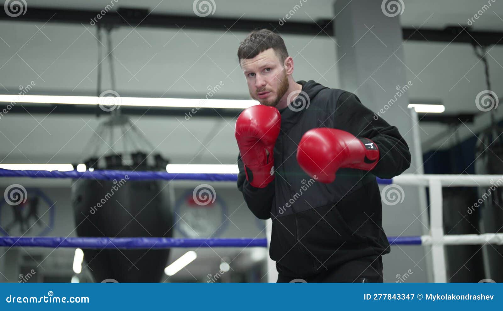 Process of Training a Male Boxer, Slow Motion Stock Video - Video of ...