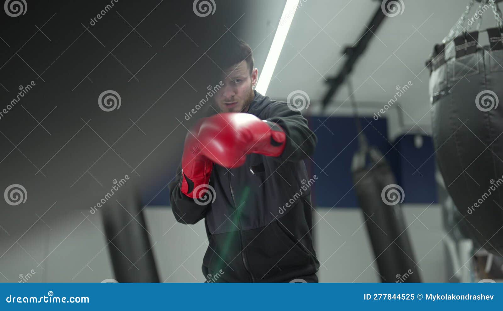 Process of Training a Male Boxer, Slow Motion Stock Video - Video of ...