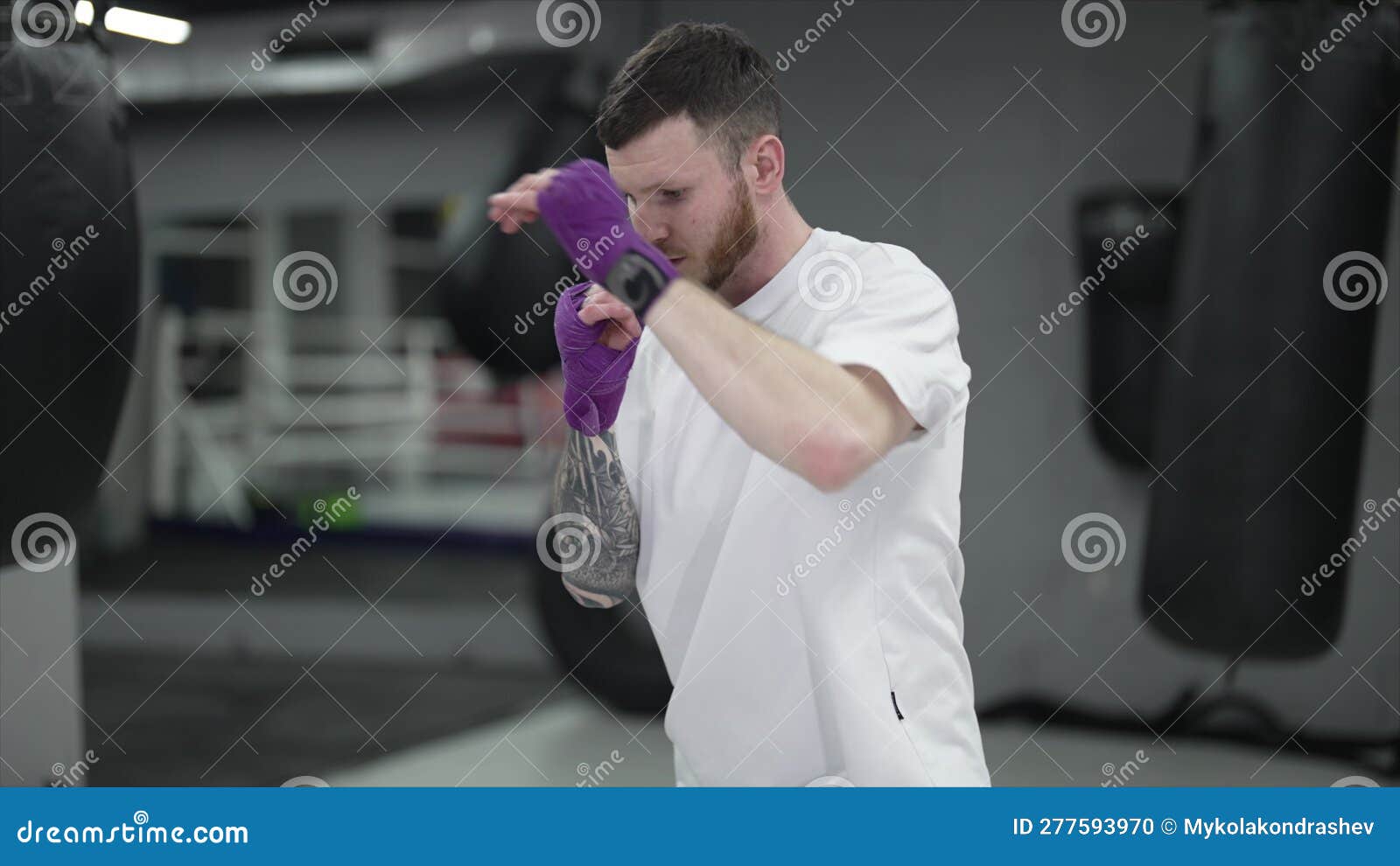 Process of Training a Male Boxer, Slow Motion Stock Footage - Video of ...