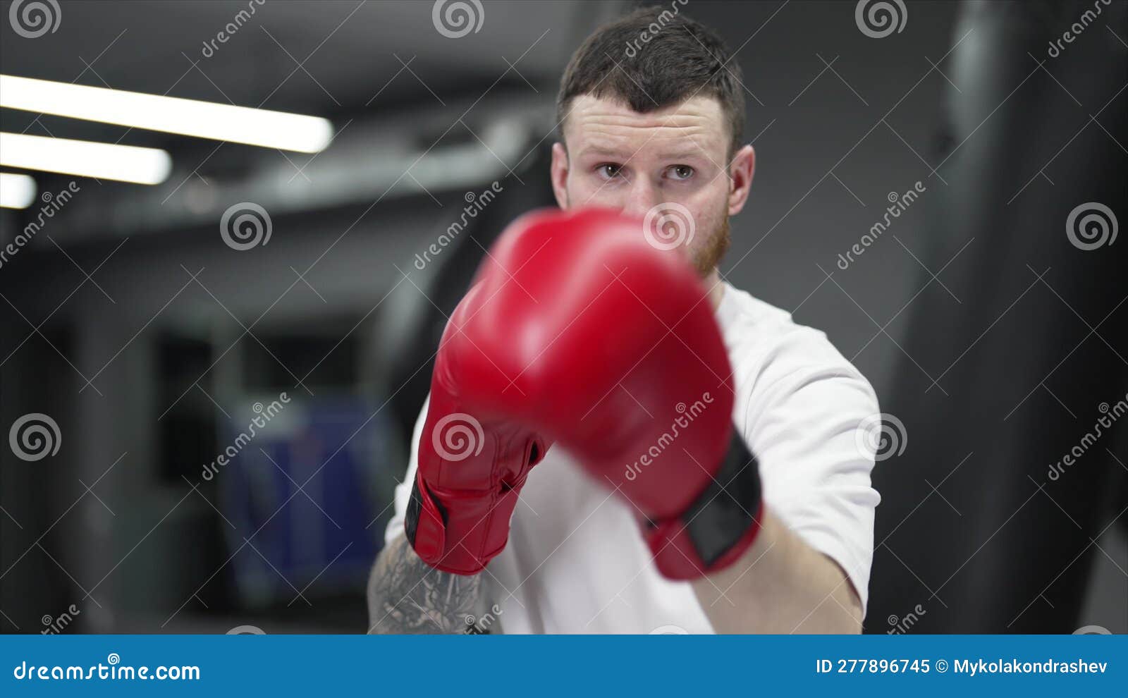 Process of Training a Male Boxer, Slow Motion Stock Video - Video of ...