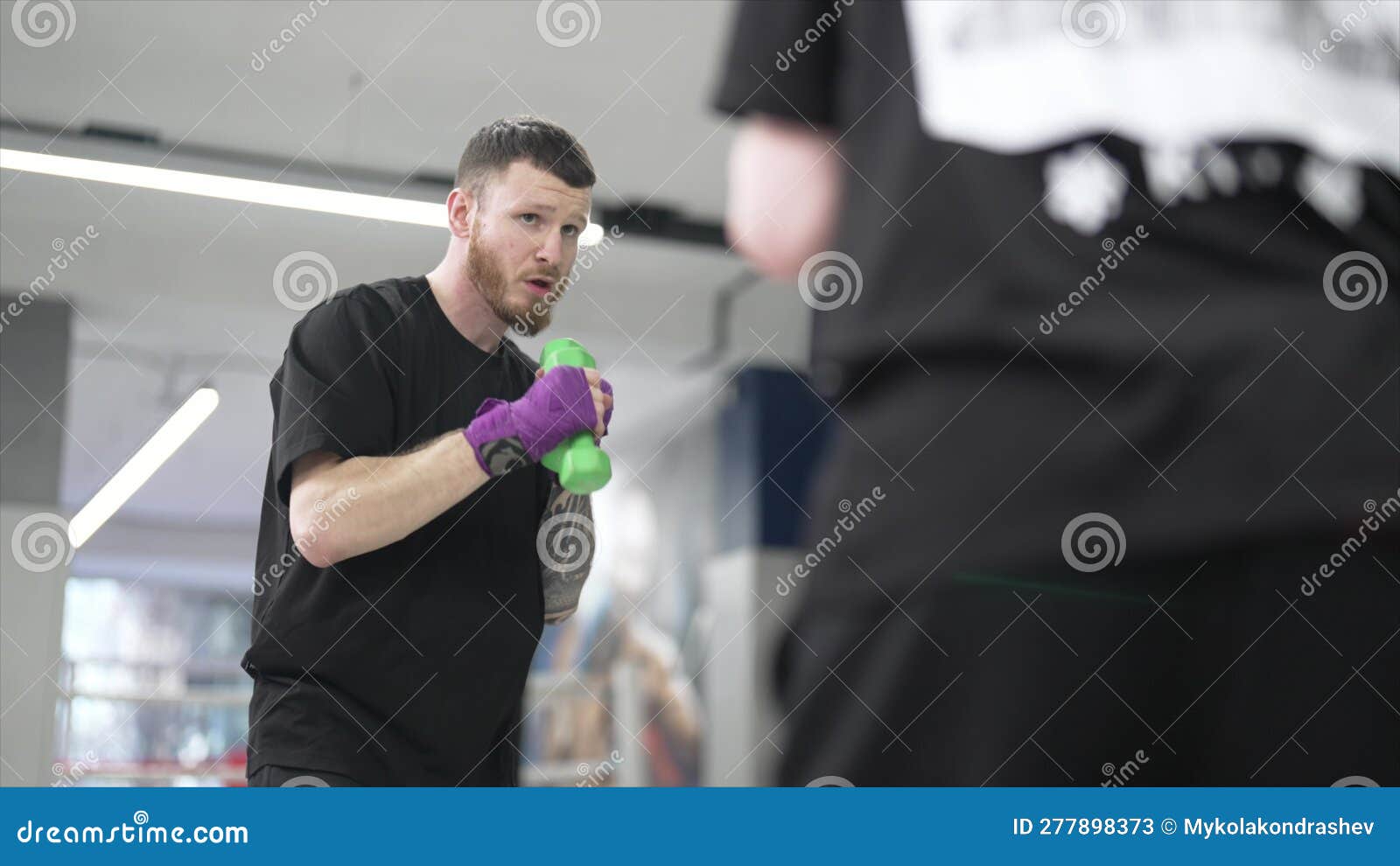 Process of Training a Male Boxer, Slow Motion Stock Video - Video of ...