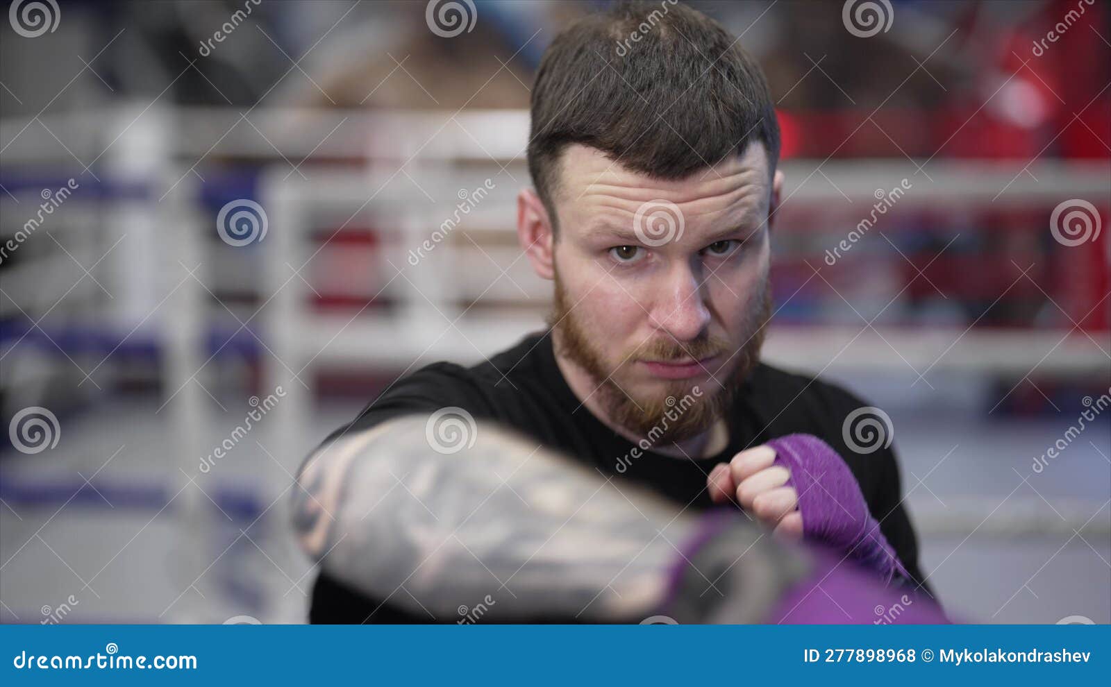Process of Training a Male Boxer, Slow Motion Stock Footage - Video of ...