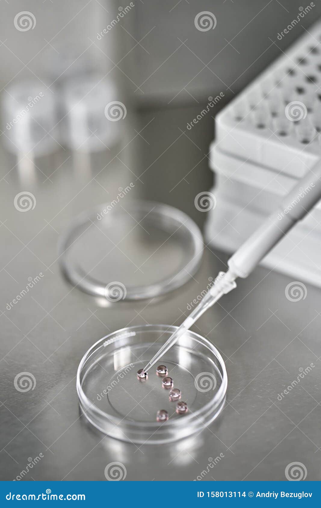 Process of in Vitro Fertilization in Laboratory Stock Photo - Image of ...