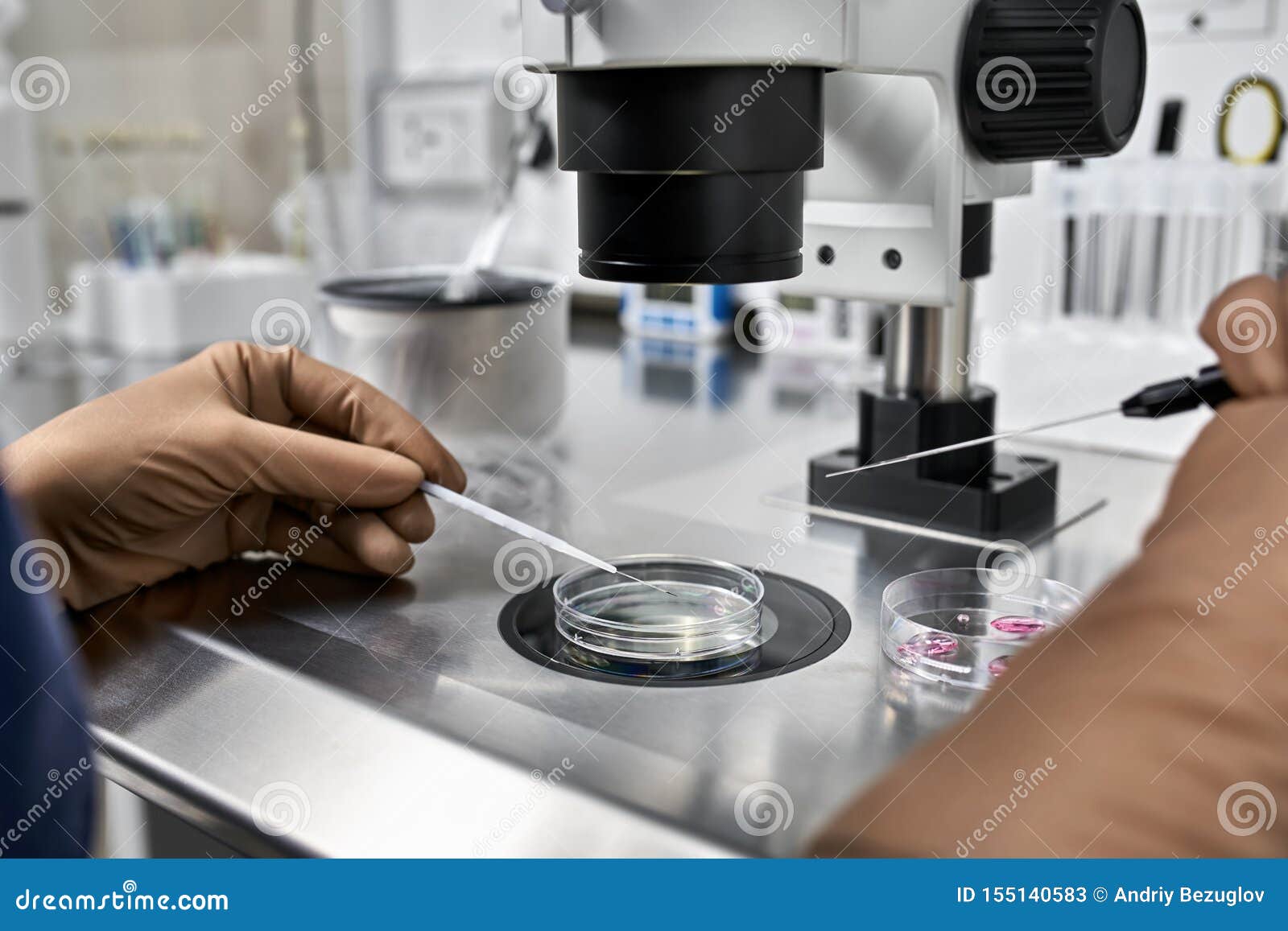 Process of in Vitro Fertilization in Laboratory Stock Image - Image of ...