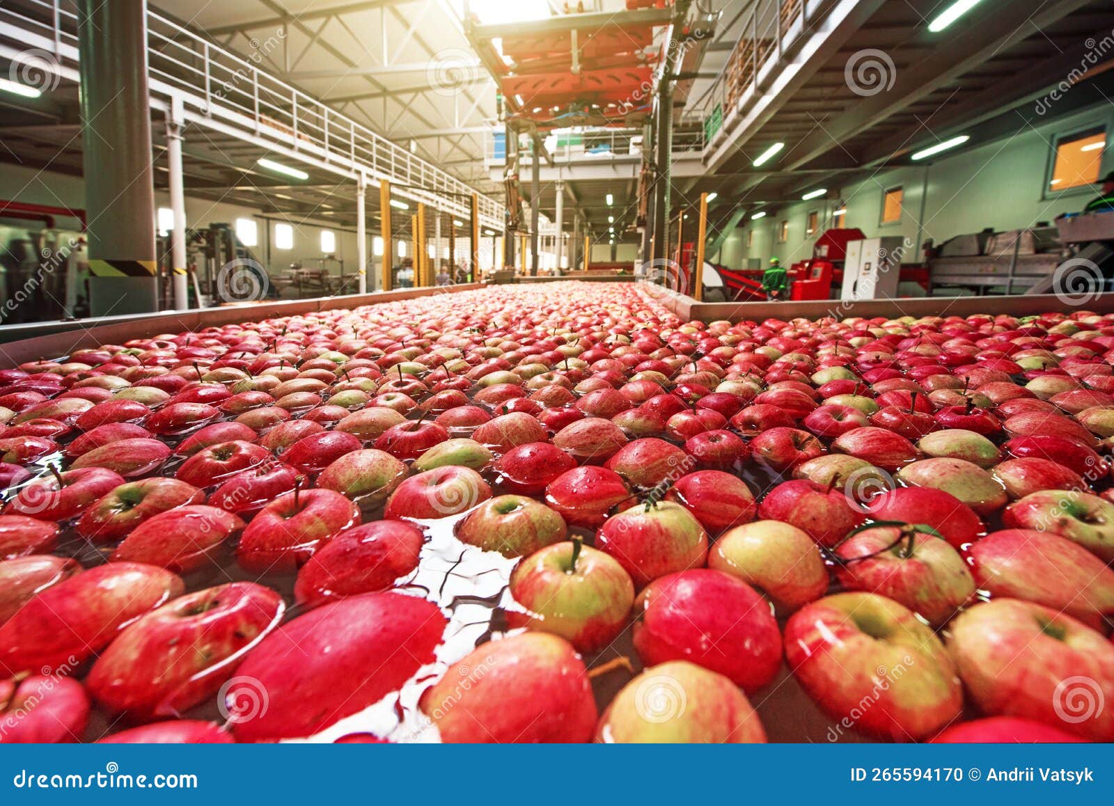 The Process of Washing Apples in a Fruit Production Plant Stock Photo ...