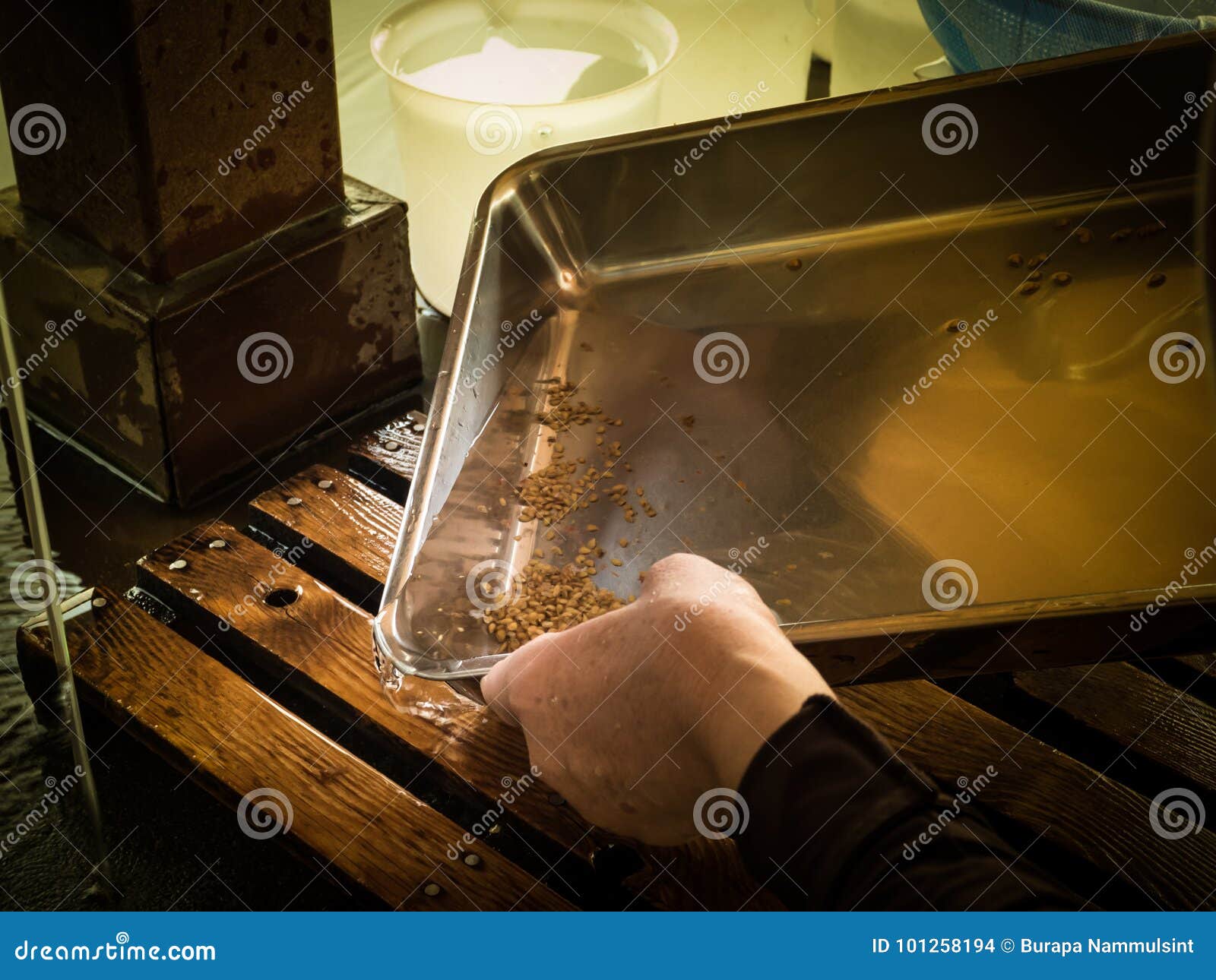 Process of Washing Tomato Seeds. Stock Photo - Image of organic ...