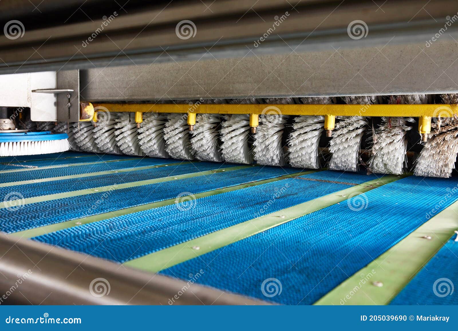 Automatic Machine and Equipment for Carpet Washing and Dry Cleaning ...