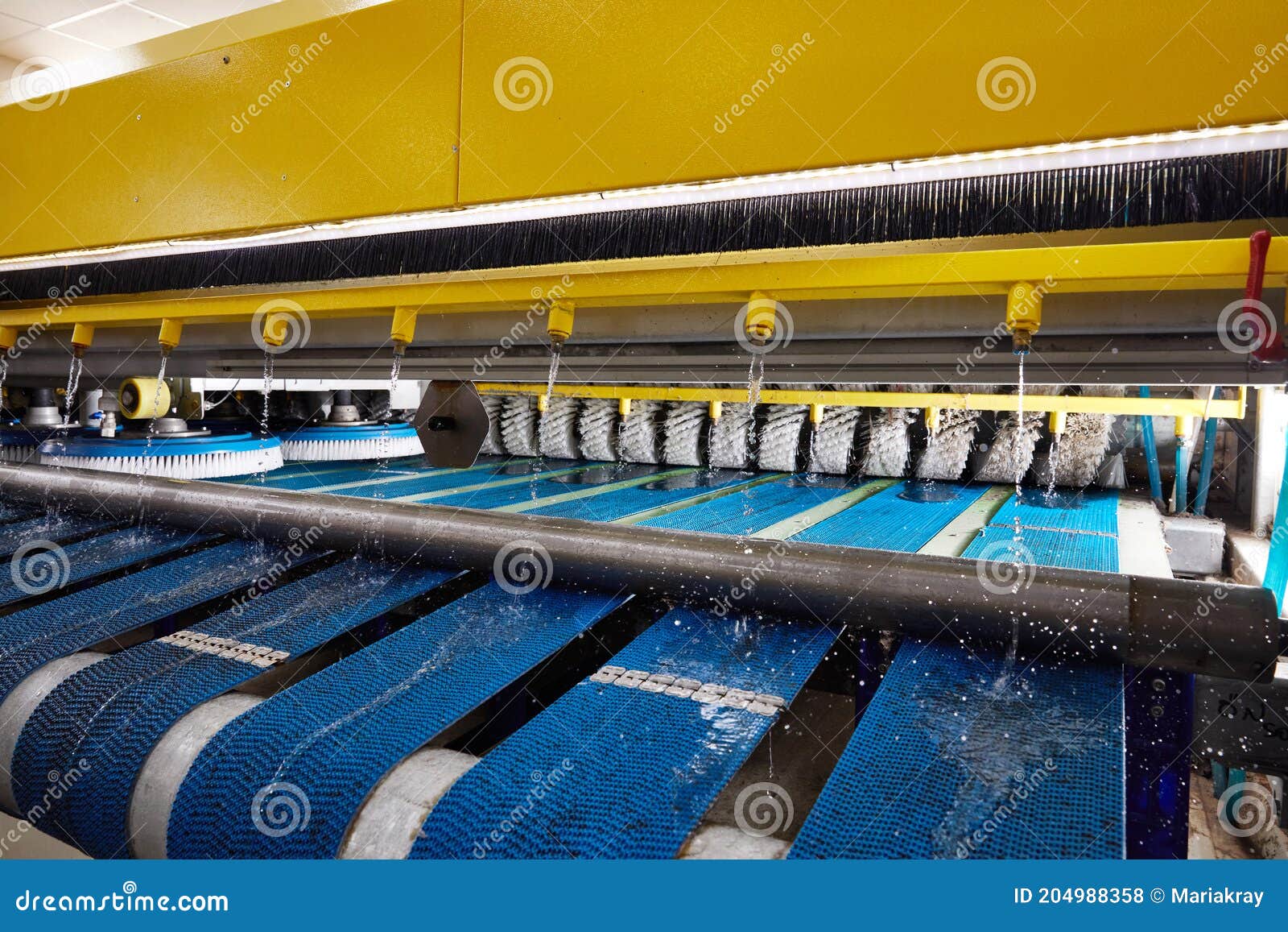 Automatic Machine and Equipment for Carpet Washing and Dry Cleaning ...