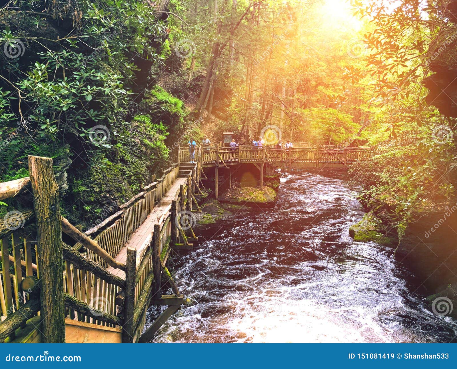 Bushkill Falls Boardwalks with Flowing Water Stock Image - Image of ...