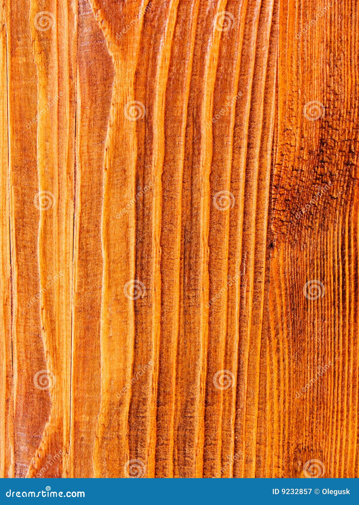Processed Oak Texture stock image. Image of board, industrial - 9232857